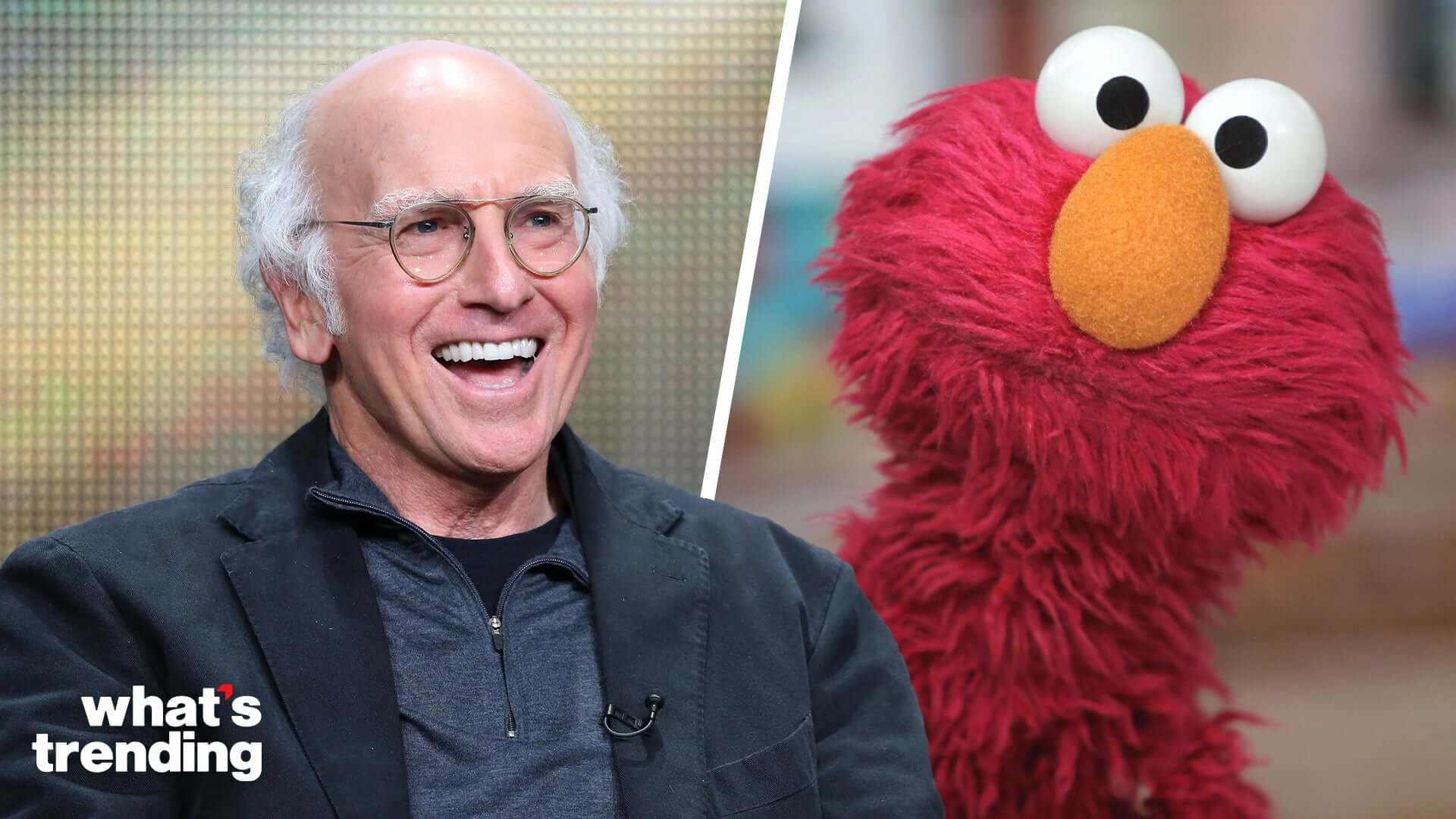 Larry David Attacks Elmo On Live TV | What's Trending